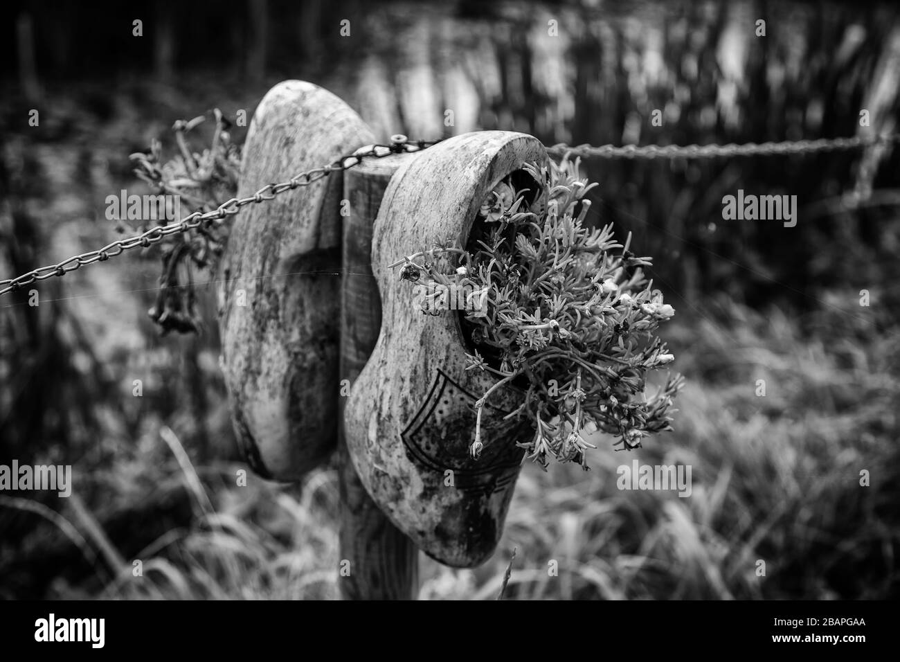 Traditional fashion shop in Black and White Stock Photos & Images - Alamy