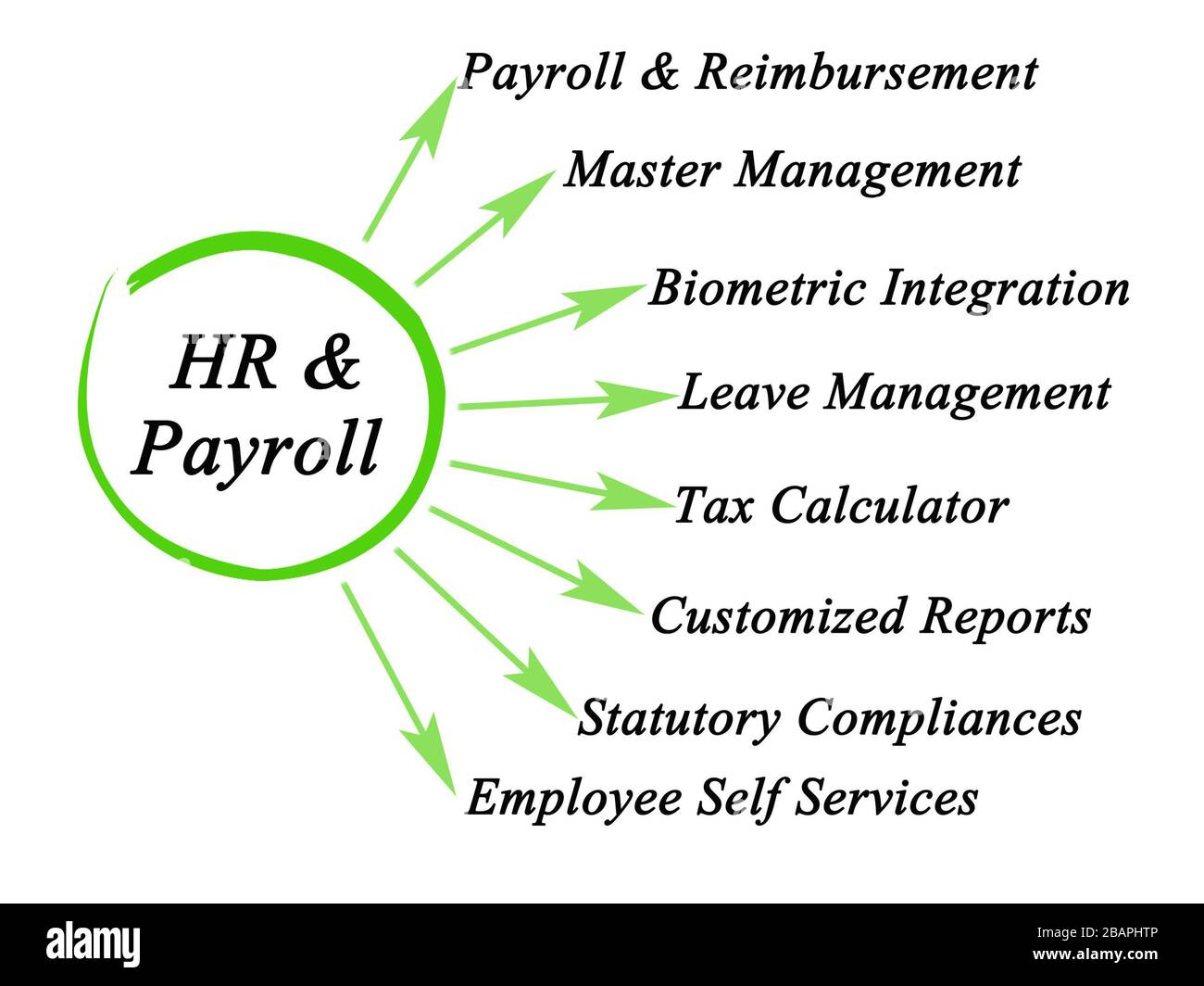 Eight functions of human resource management Stock Photo - Alamy
