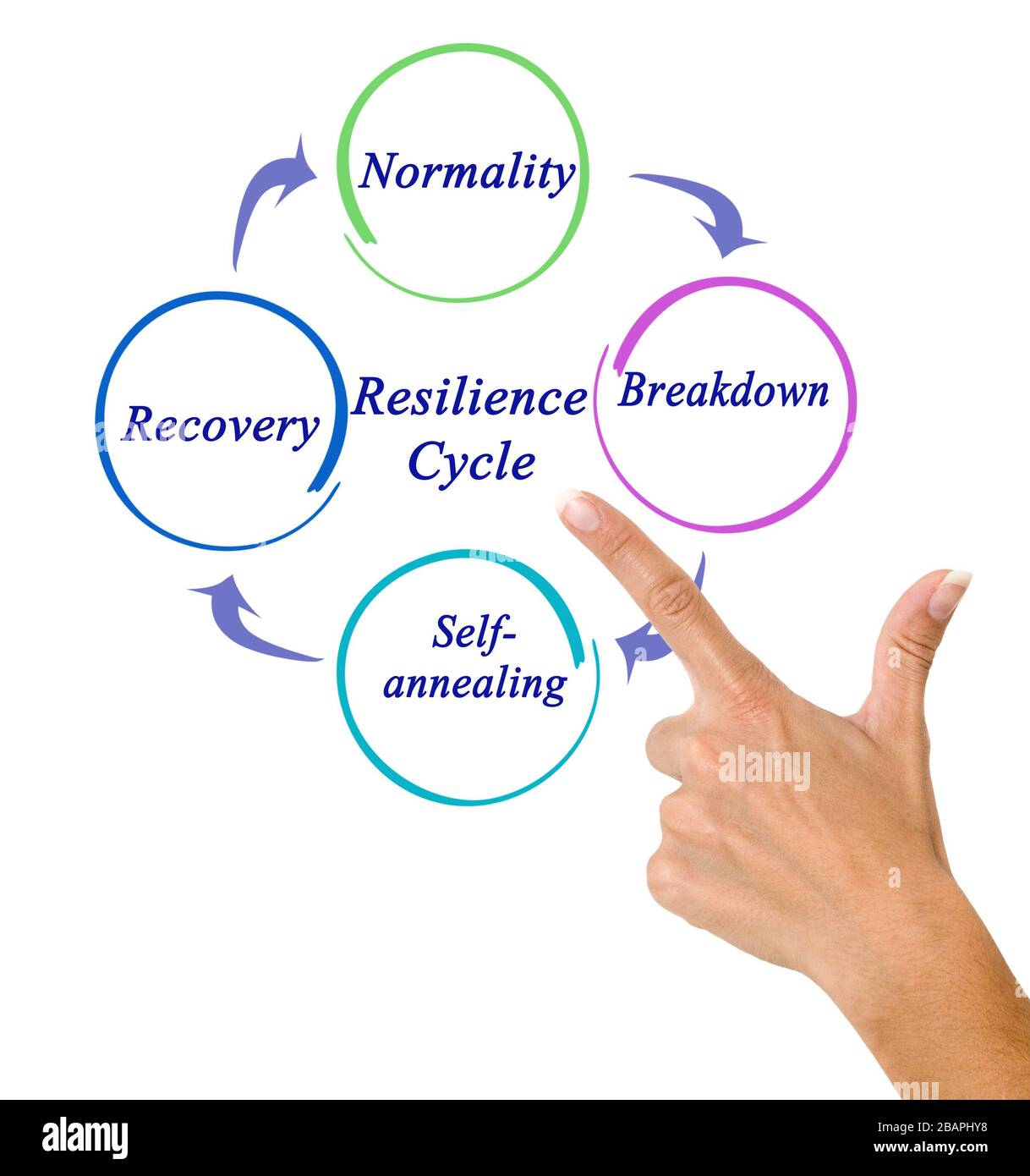 Four components of Resilience Cycle Stock Photo - Alamy