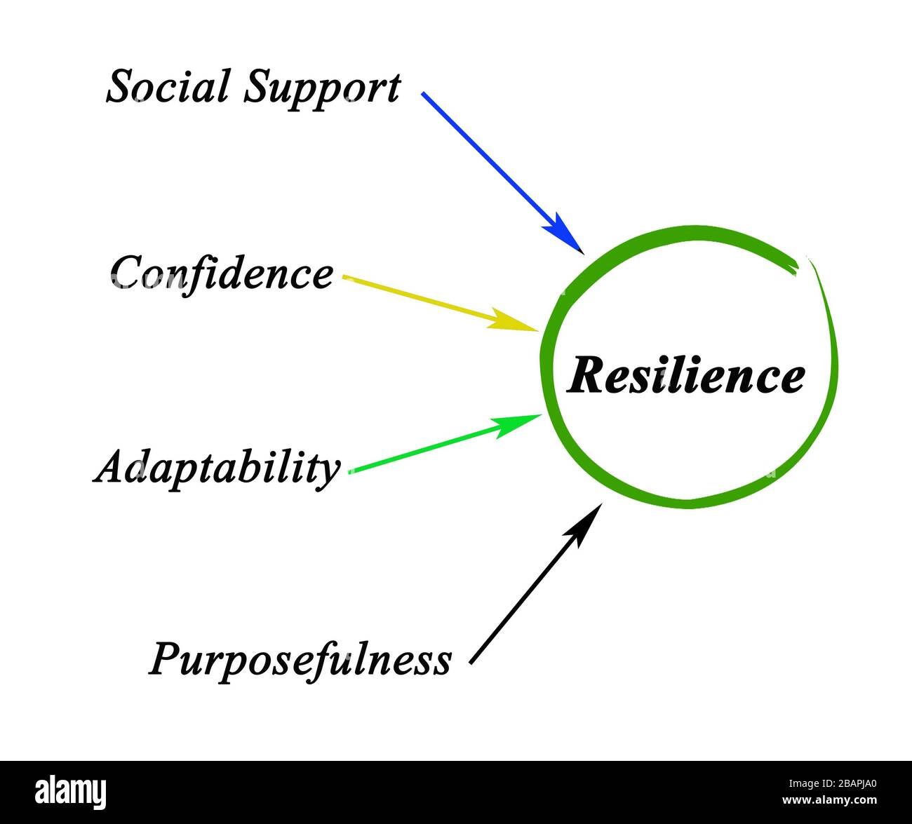 Resilience and adaptability hi-res stock photography and images - Alamy