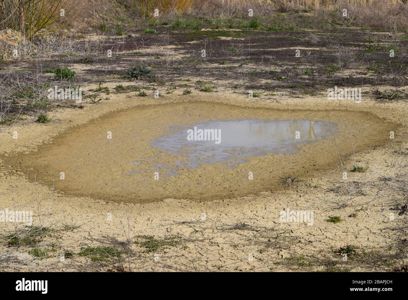 a large Puddle defies the Sun Stock Photo - Alamy