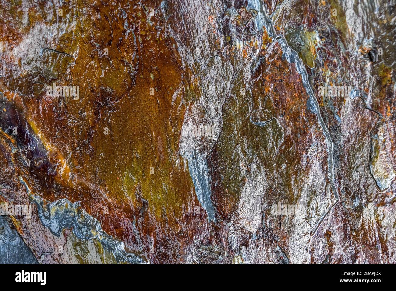 Stone texture in Georgia Stock Photo - Alamy