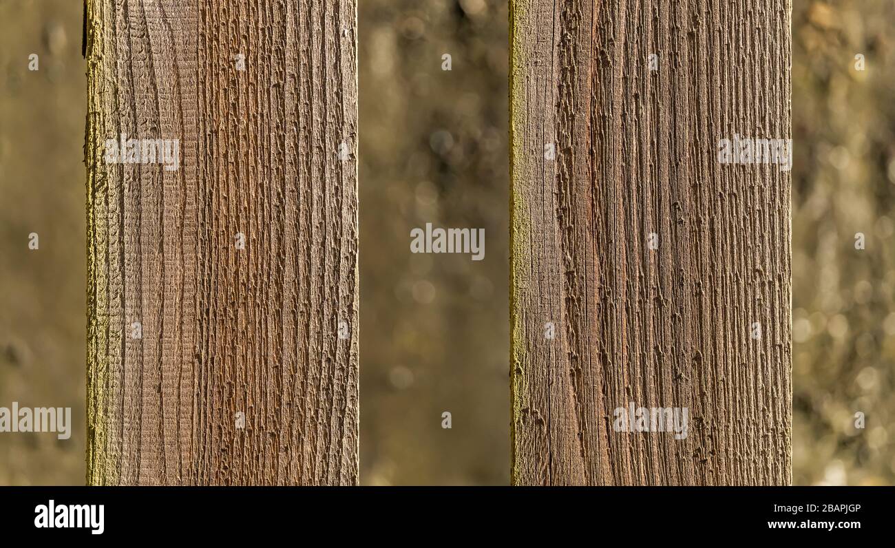 old wood planks of a fence, texture Stock Photo - Alamy