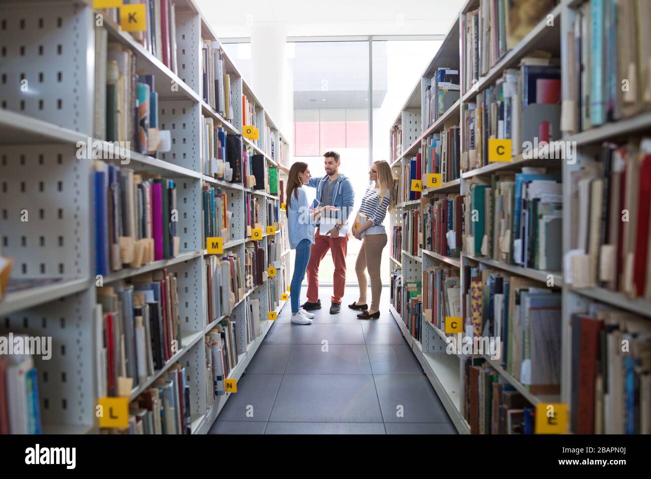 University students working in the library at campus Stock Photo - Alamy