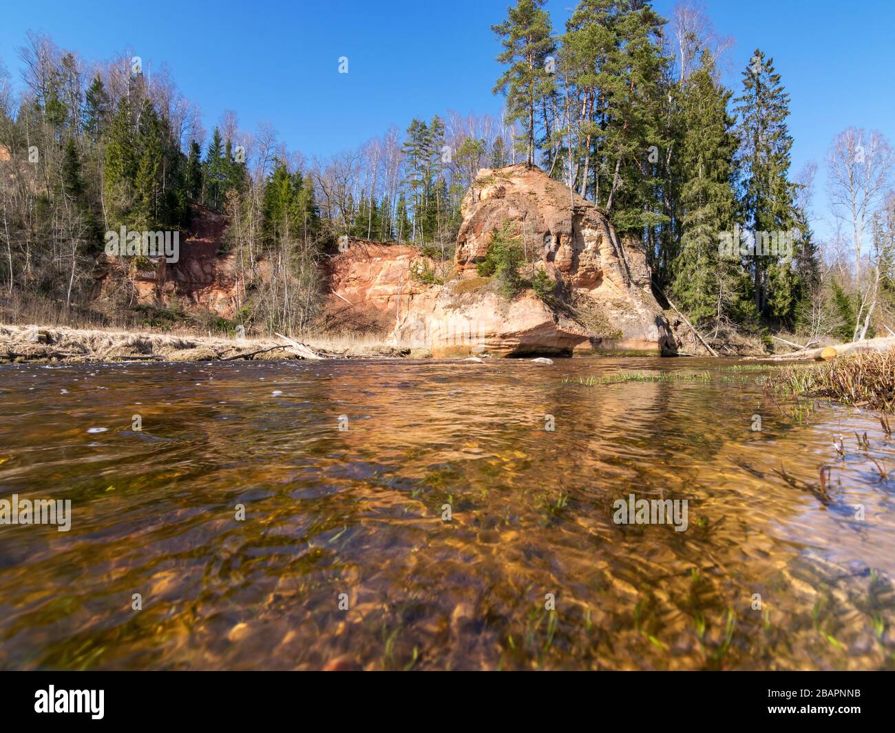 wonderful spring landscape with beautiful sandstone cliff, clear river ...