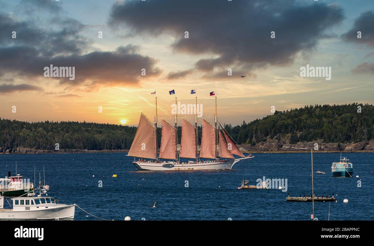 Four Masted Schooner in Bar Harbor Stock Photo - Alamy