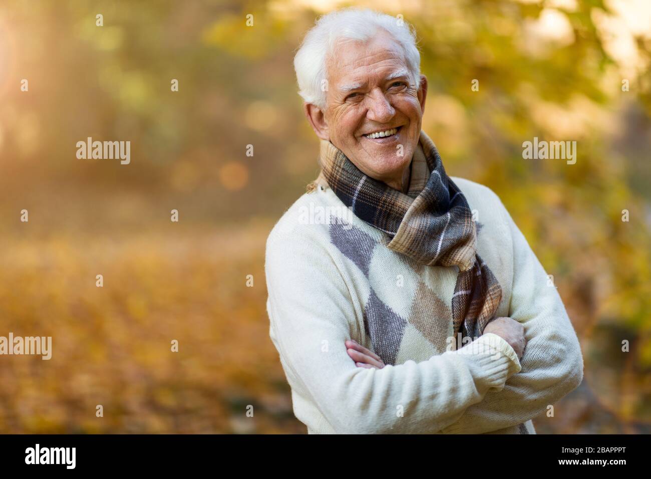 Senior old gray grey hair hi-res stock photography and images - Alamy
