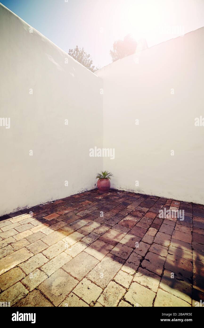 Empty yard with flowerpot with harsh sunlight, retro color toning ...