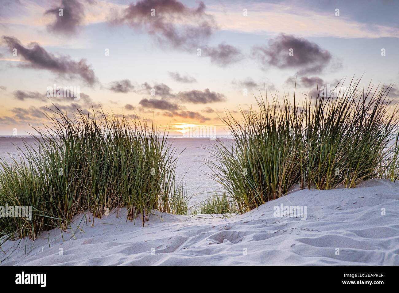 Texel lighthouse during sunset Netherlands Dutch Island Texel Stock ...