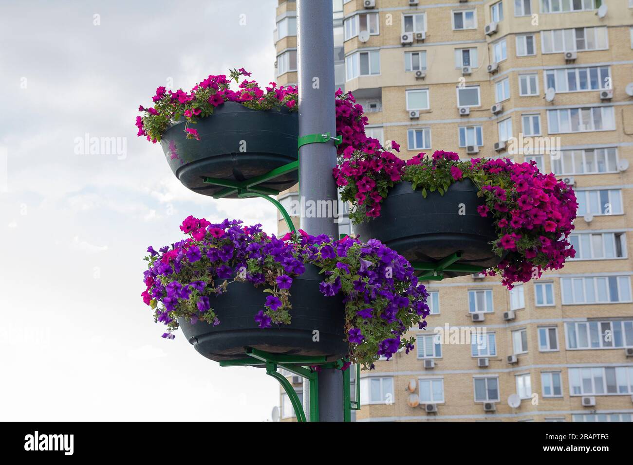 Flower pot on a pole against the background of a multi-storey house in ...