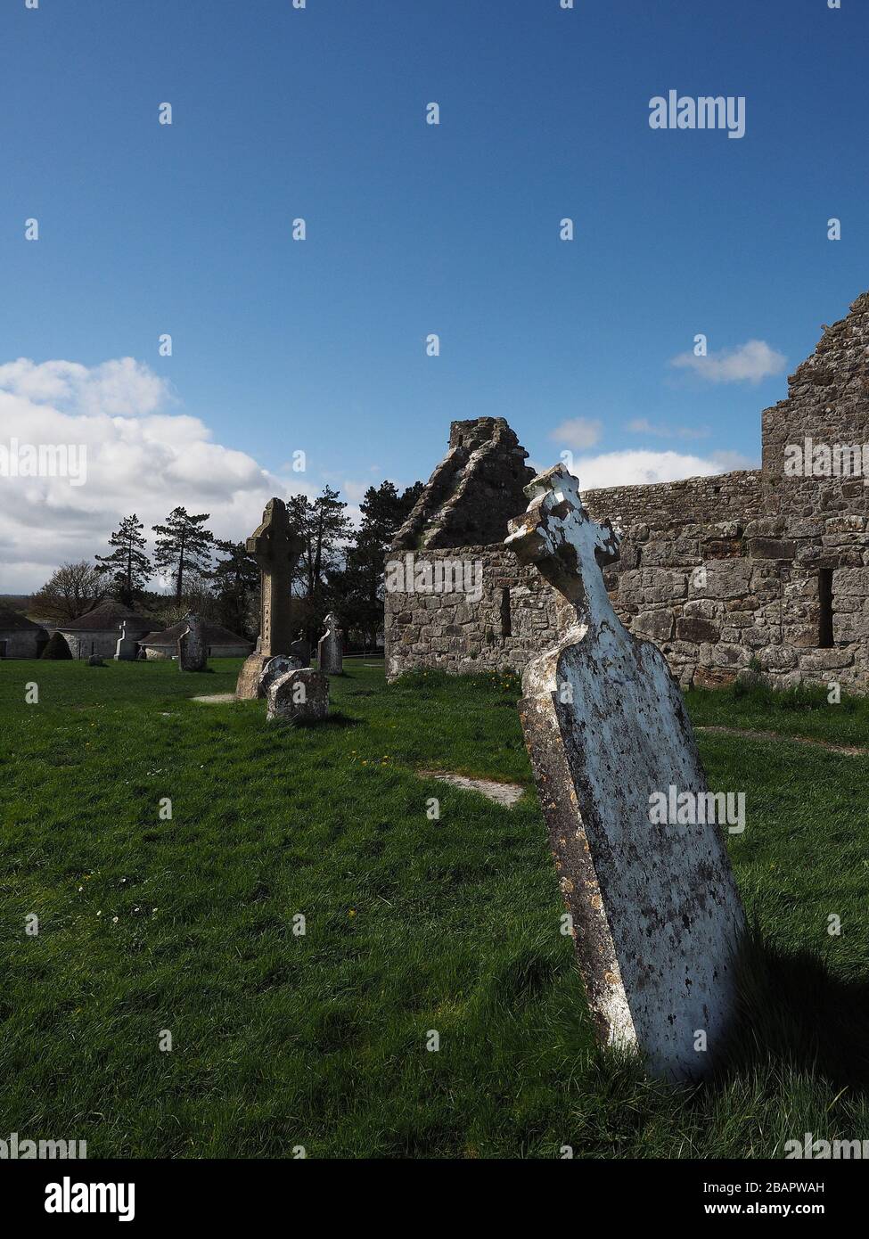 Monastery of Clonmacnoise,founded in 544, County Offaly, Republic of ...