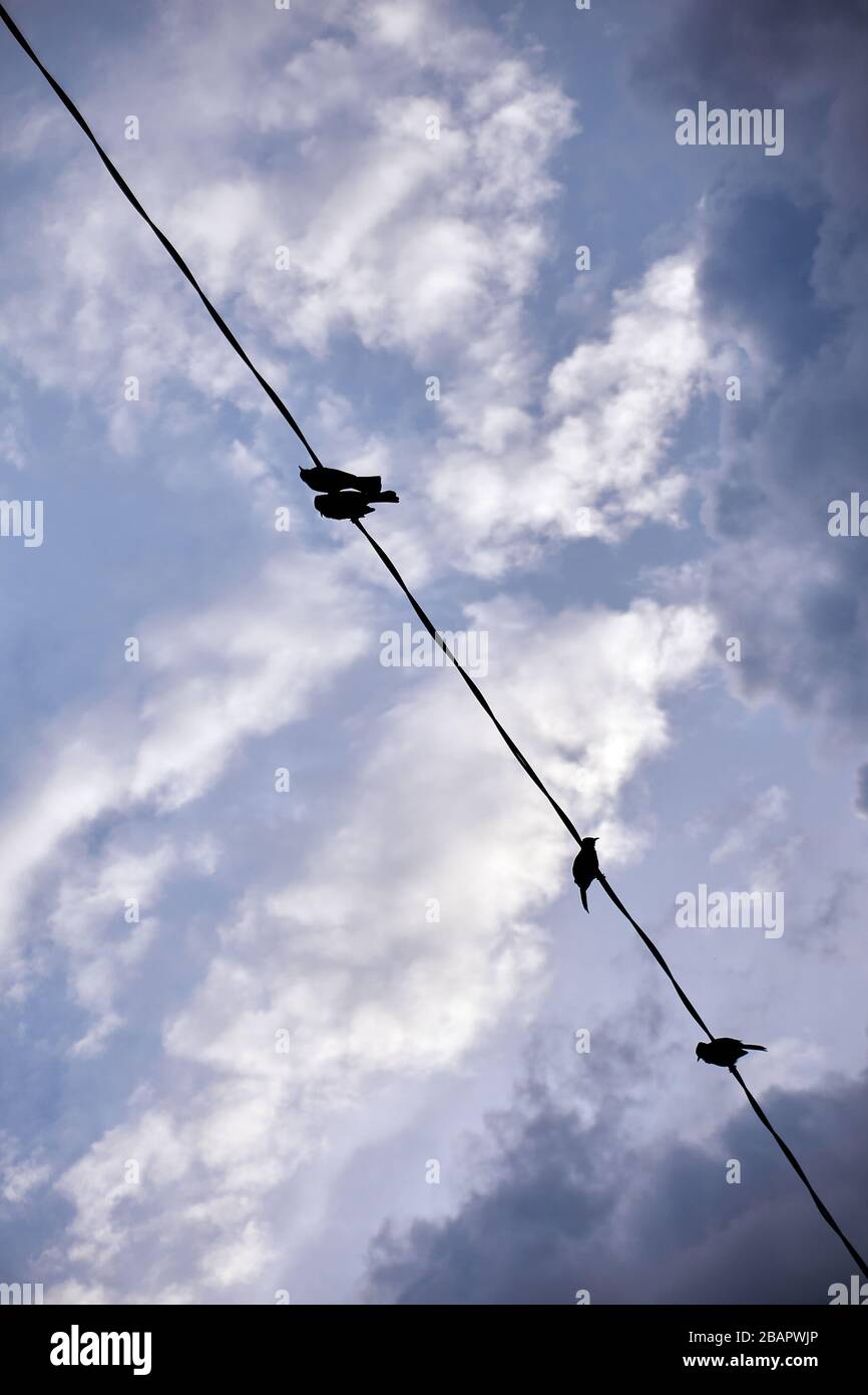 Flying cable hi-res stock photography and images - Alamy