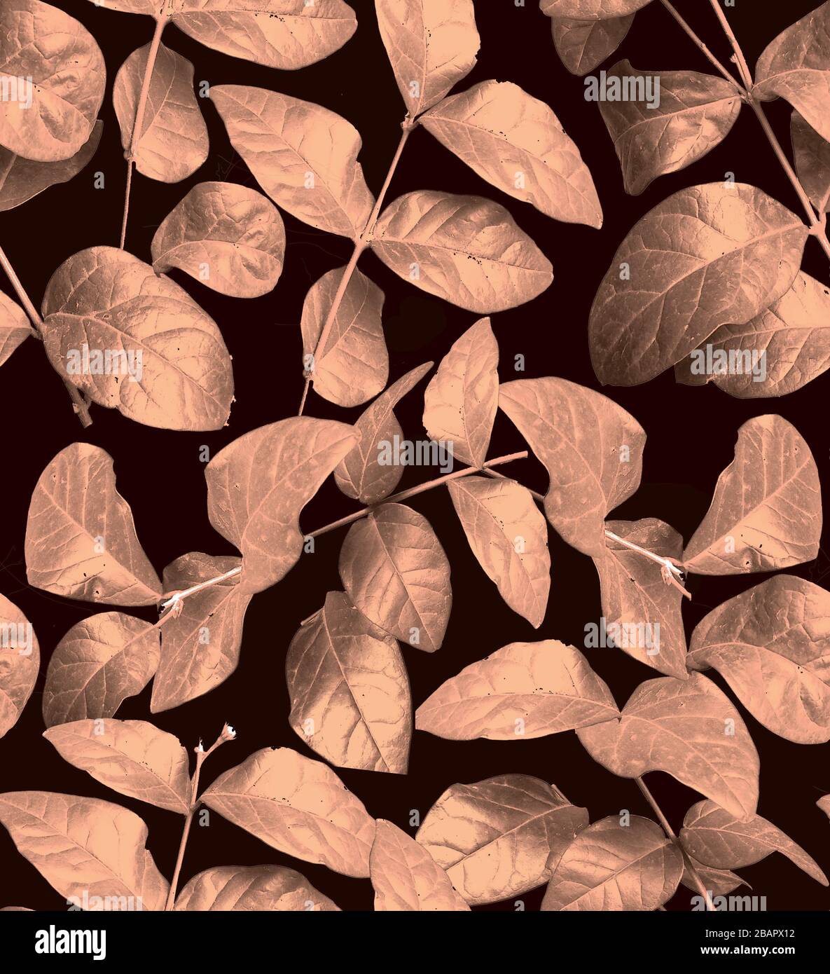 Dark Copper Background