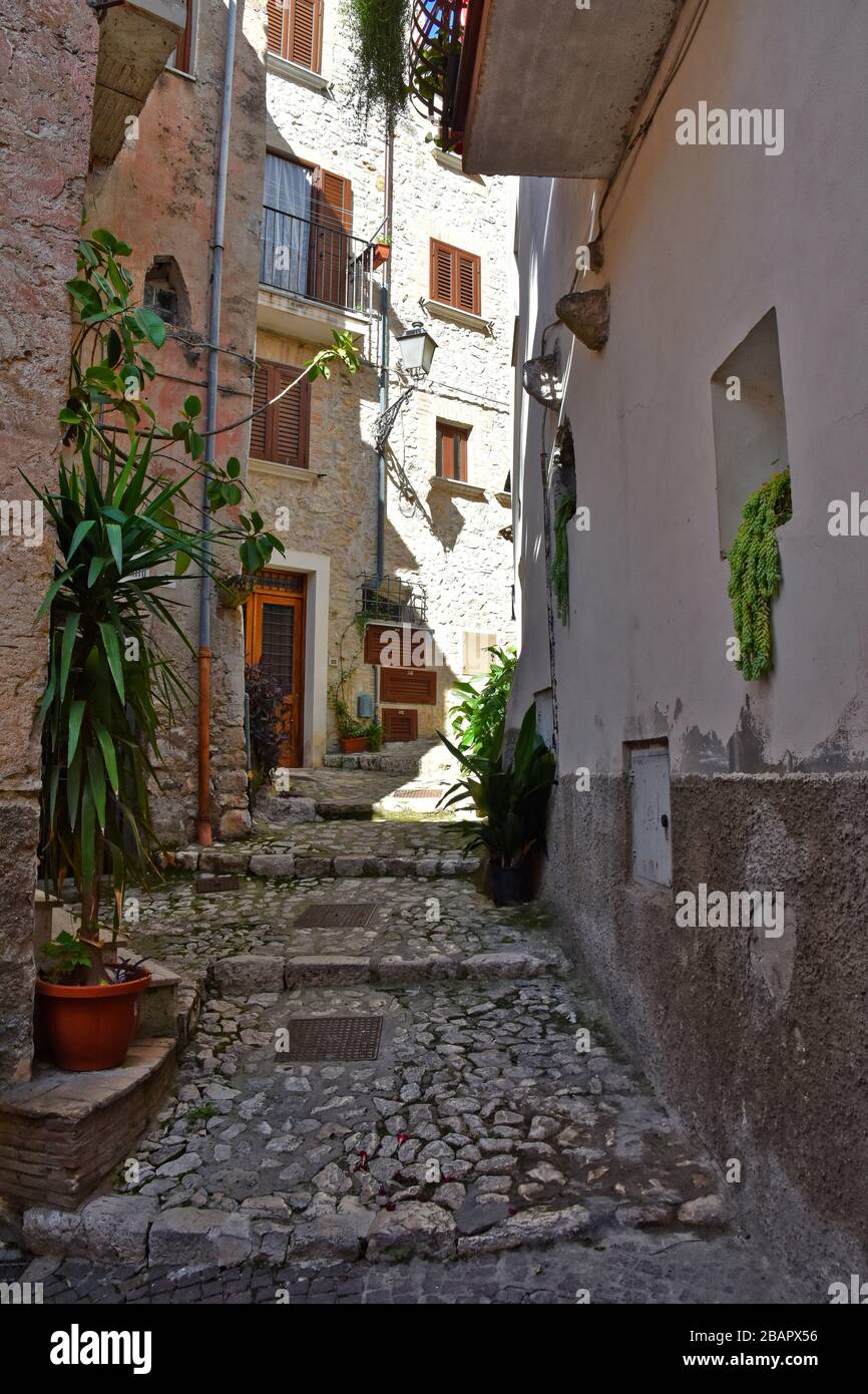 A narrow street between the stone houses of Maranola, a medieval ...