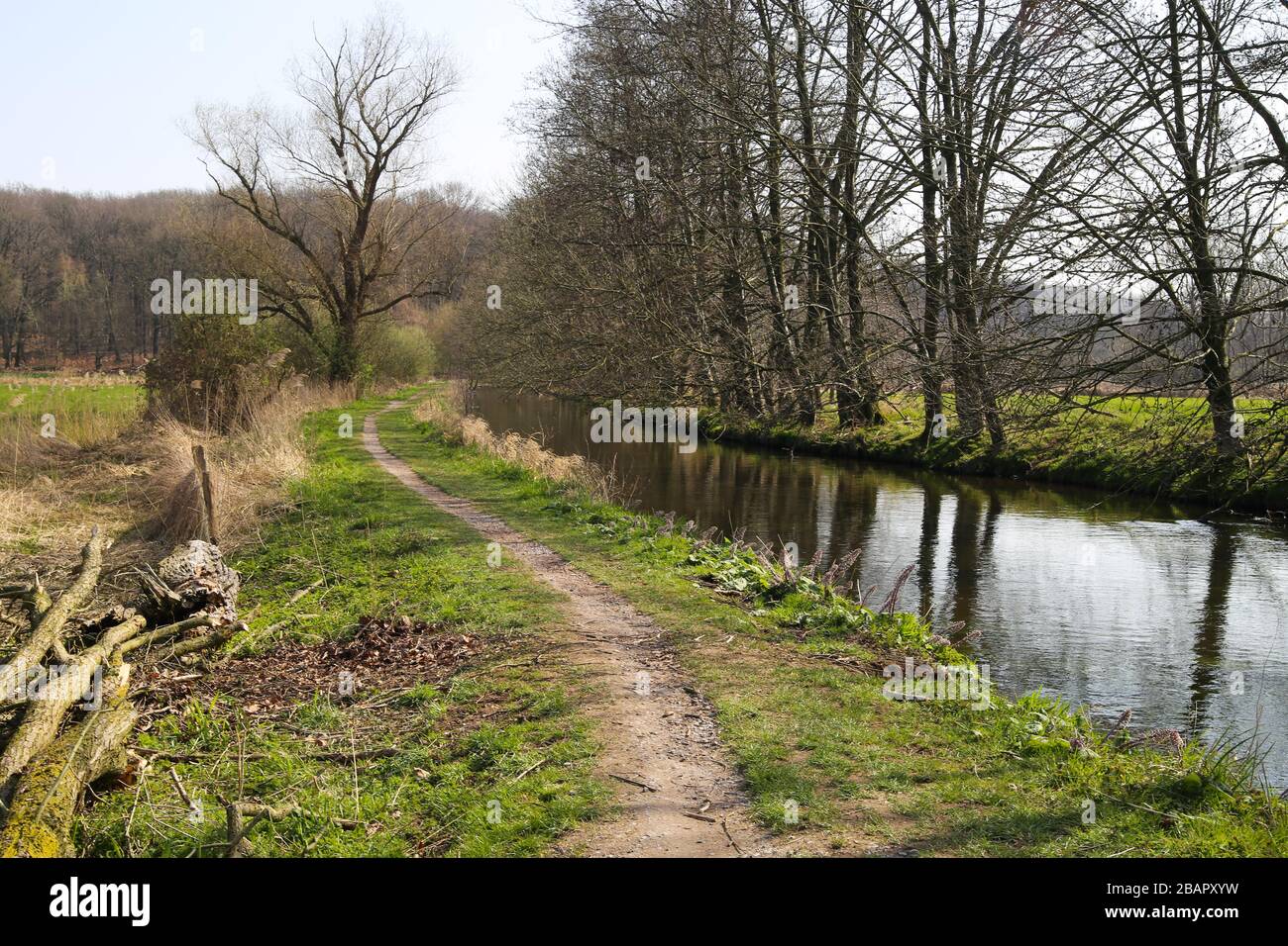 View beyond bare trees on river Schwalm in spring, Germany, Brüggen ...