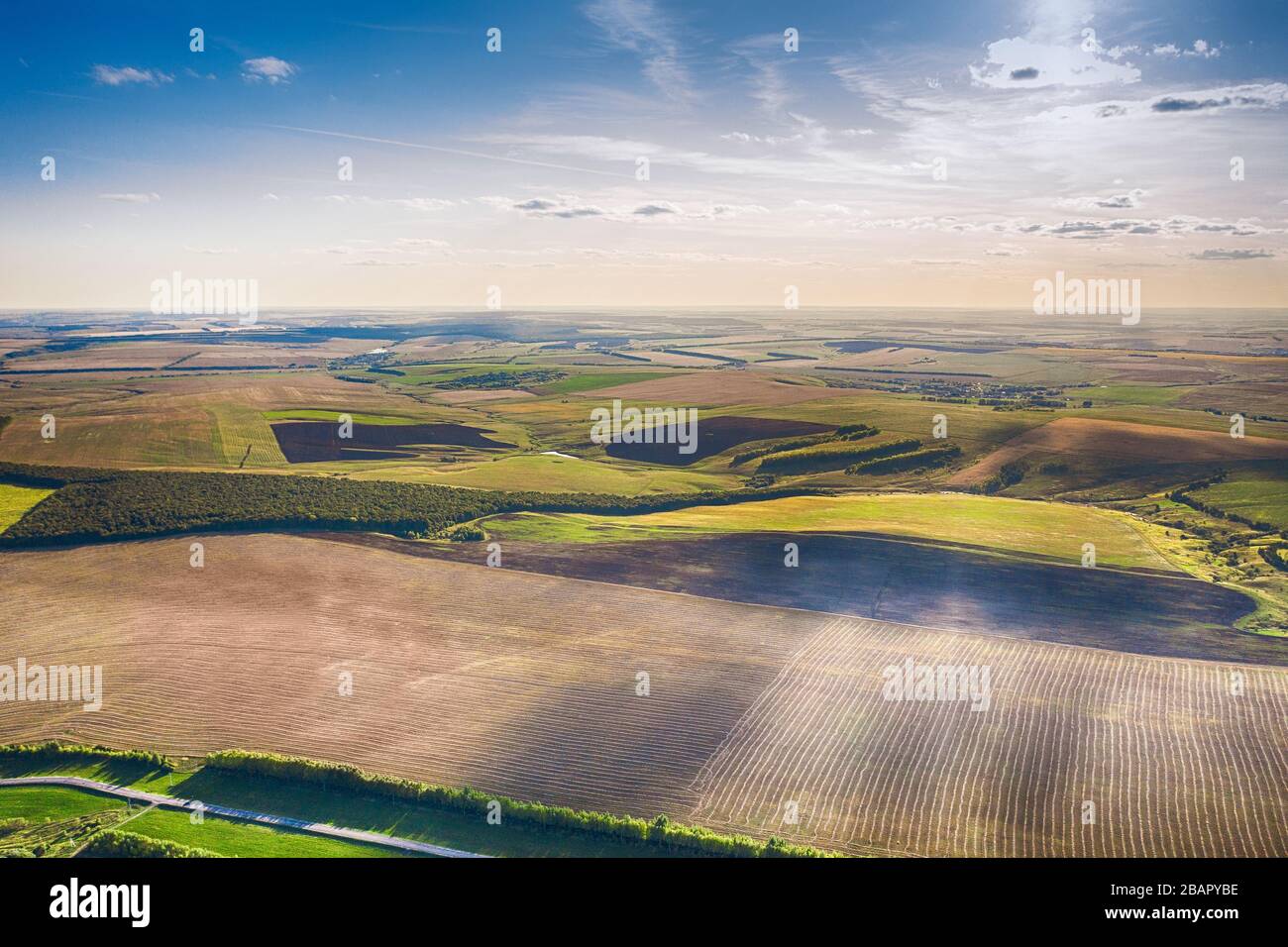 Aerial plant hi-res stock photography and images - Alamy