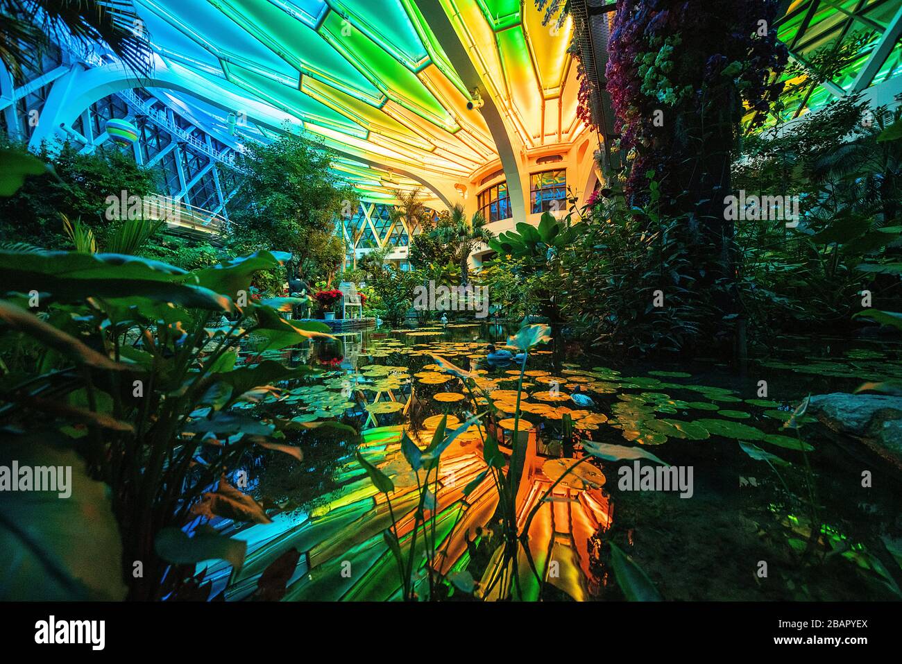 National botanic park in Seoul, South Korea Stock Photo - Alamy