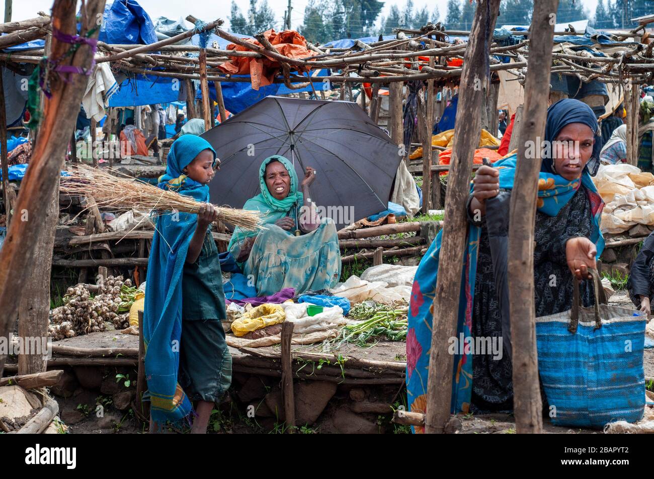 Market place. Debark. Simien Mountains. Northern Ethiopia. A girl ...