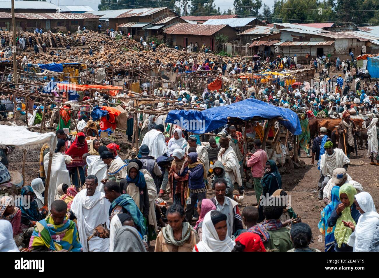 Market place. Debark. Simien Mountains. Northern Ethiopia. A girl ...