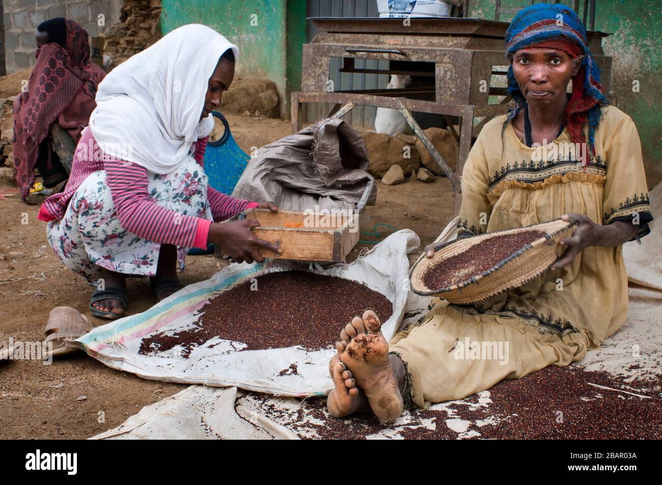Adwa village or Adua Tigray Region, Ethiopia. Some women sift through ...