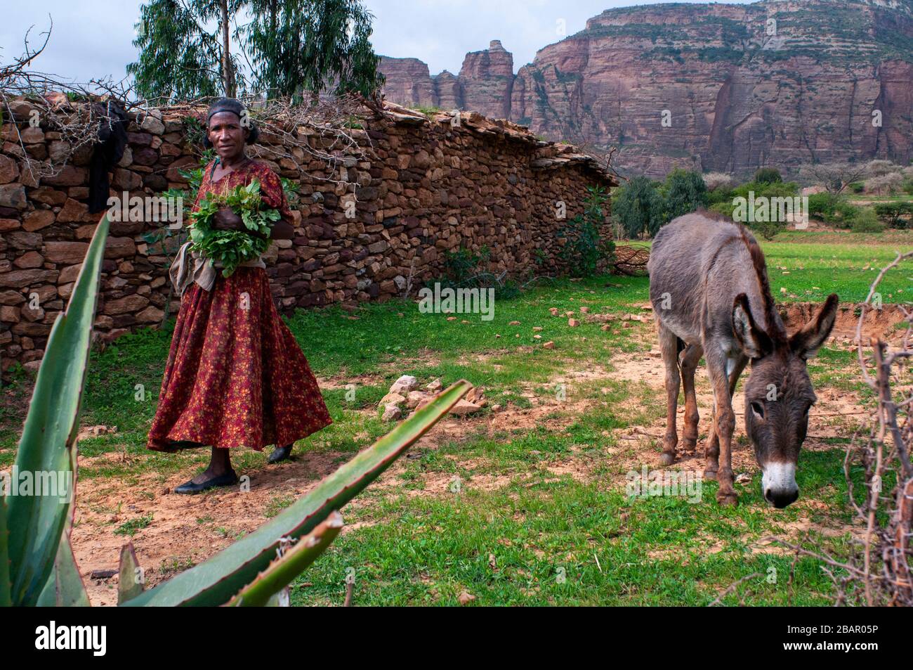 Gheralta mountains, near Hawzen, Eastern Tigray, Ethiopia. A country ...
