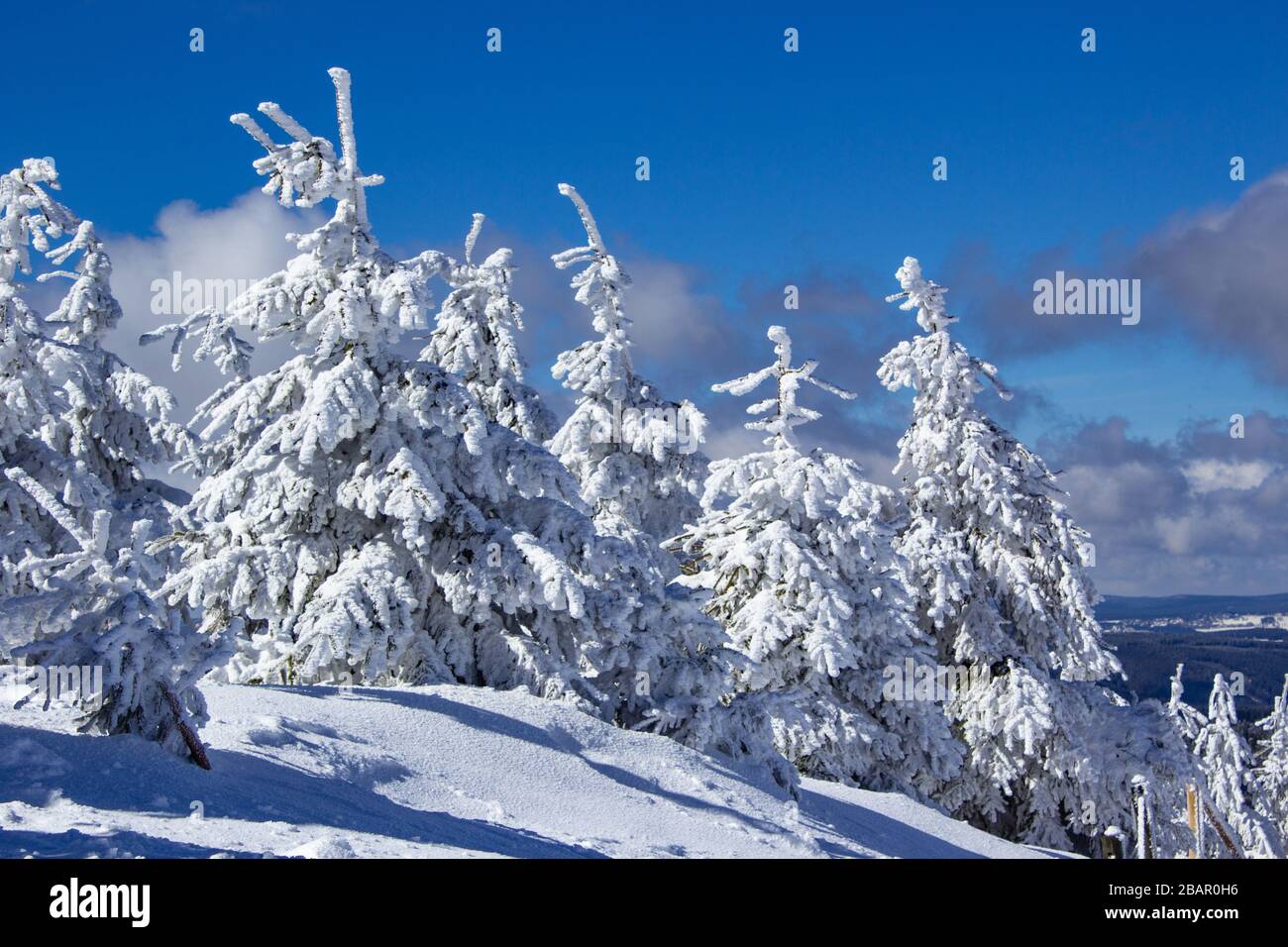 winter landscape at the Fichtelberg, Oberwiesenthal, Germany Stock ...