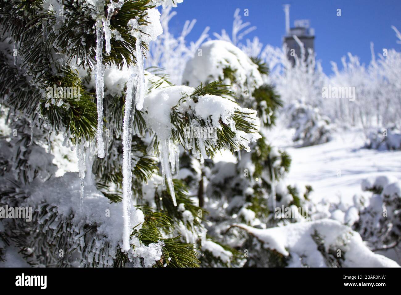 winter landscape at the Fichtelberg, Oberwiesenthal, Germany Stock ...