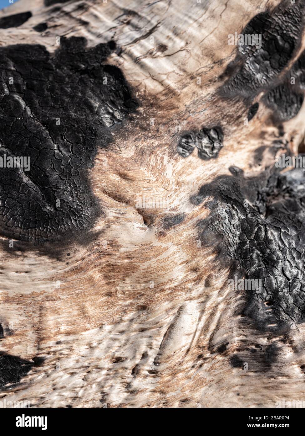 Burnt structures hi-res stock photography and images - Alamy