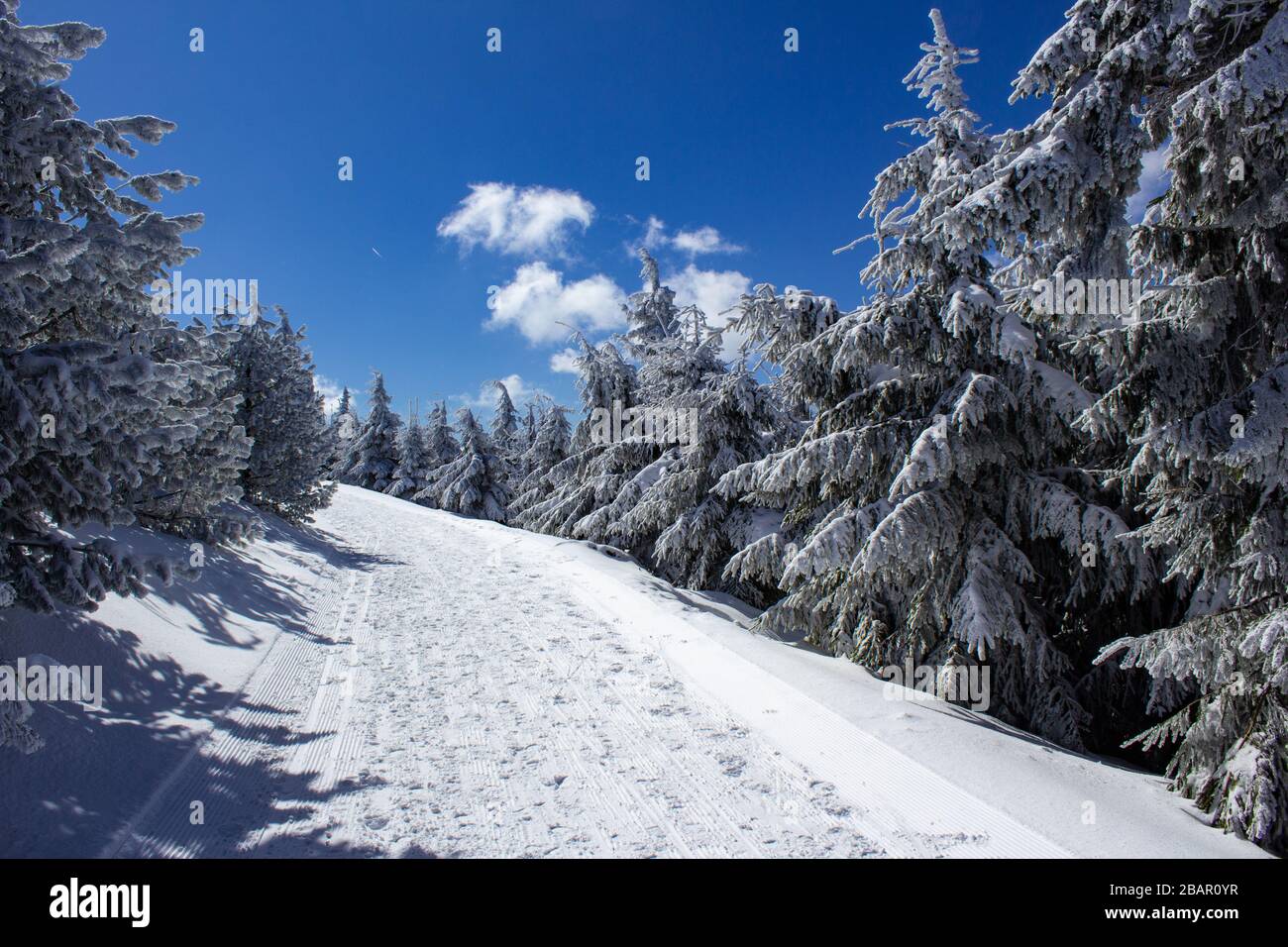 winter landscape at the Fichtelberg, Oberwiesenthal, Germany Stock ...