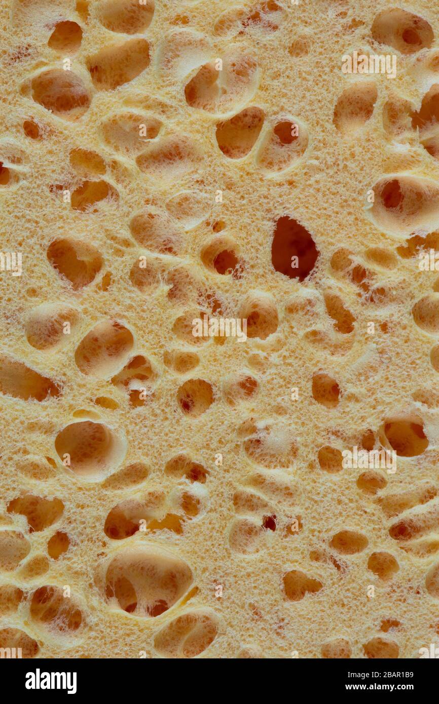sponge structure as a background texture Stock Photo - Alamy