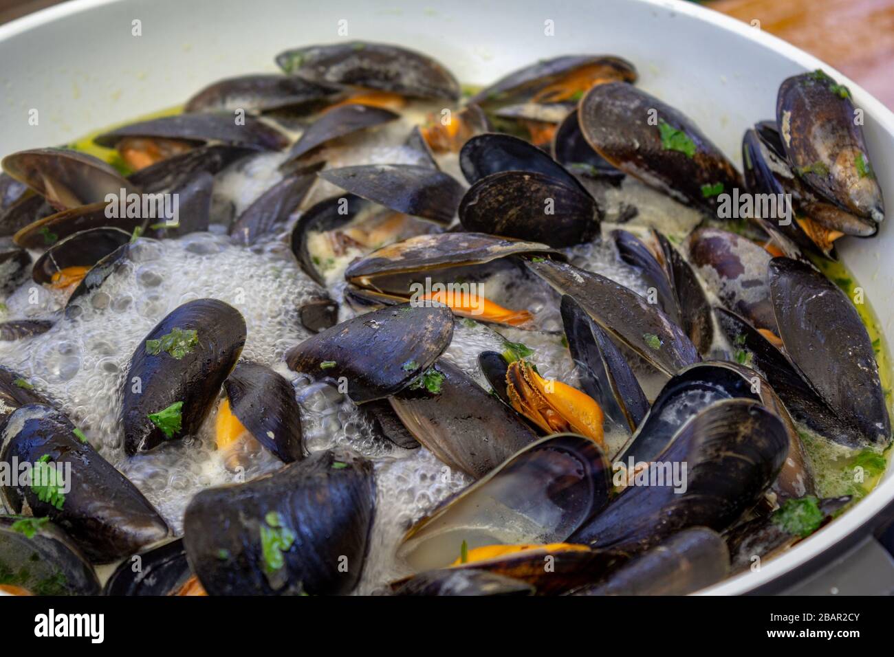 boiling blue mussels (Mytilus edulis) in white wine closeup Stock Photo ...