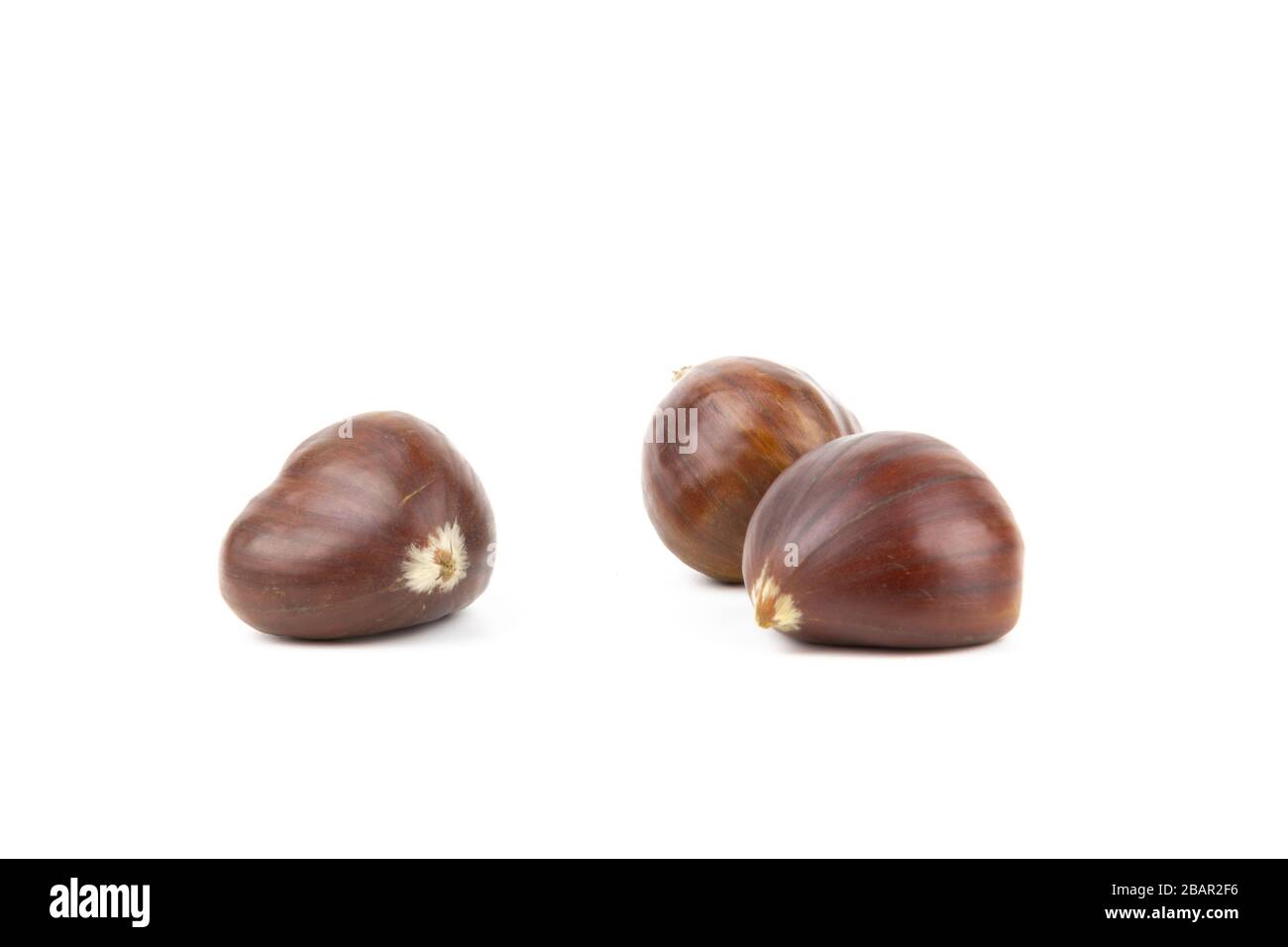 Portuguese Chestnut Cut Out Stock Images & Pictures - Alamy
