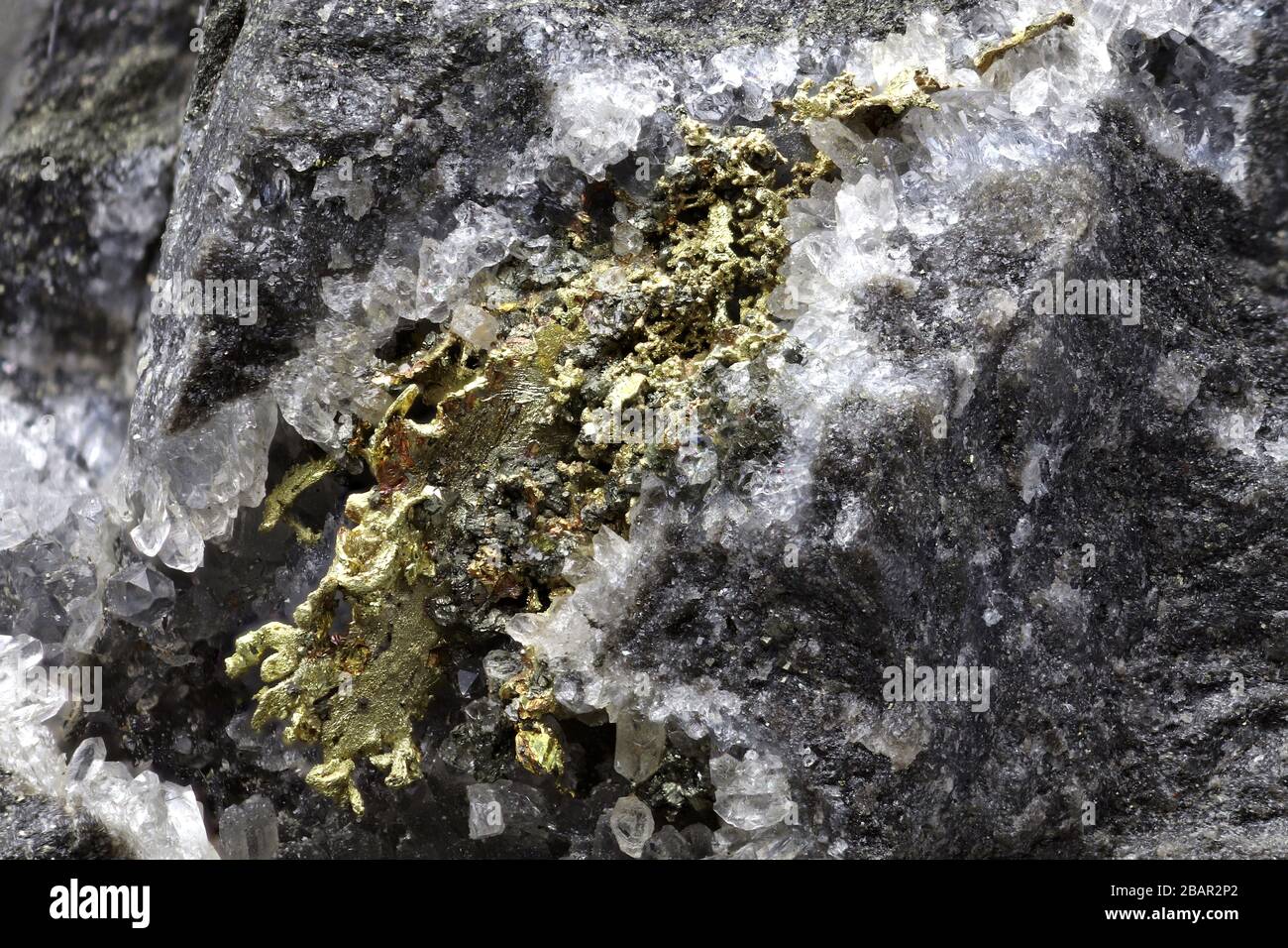 Gold in quartz hi-res stock photography and images - Alamy