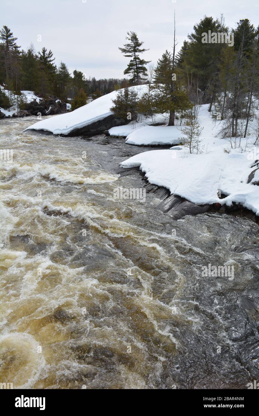 Spring runoff and rapids on Northern Ontario river Stock Photo - Alamy