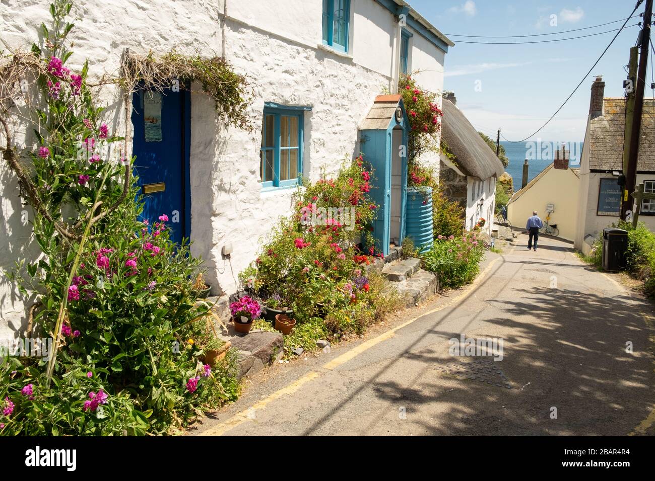 Pretty blue and white traditional cottages with red roses in narrow ...