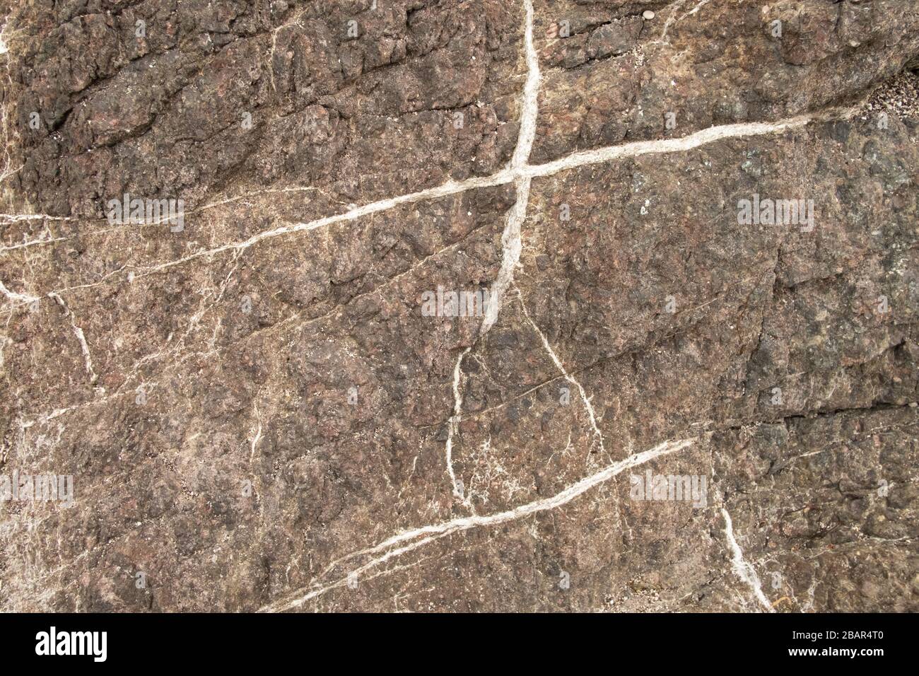Closeup of grey seaside rock surface with white veins Stock Photo - Alamy