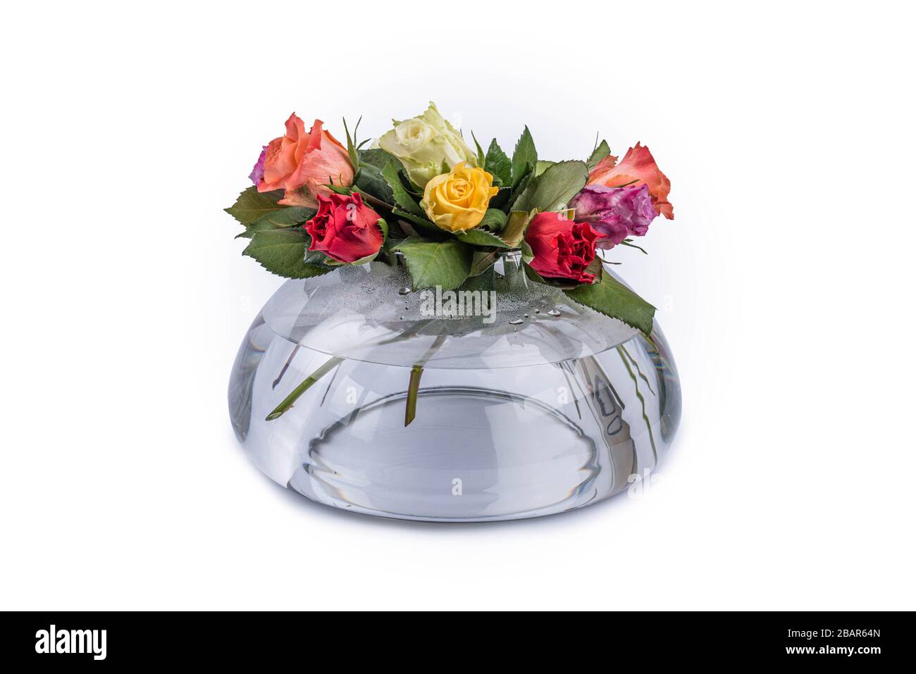 beautiful close-up multi color roses in a transparent vase over white ...