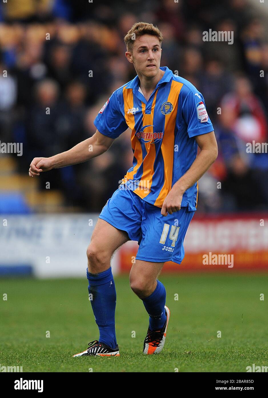 Asa Hall, Shrewsbury Town Stock Photo - Alamy