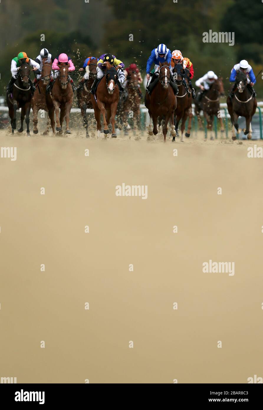 Lingfield park all weather racecourse hi-res stock photography and ...