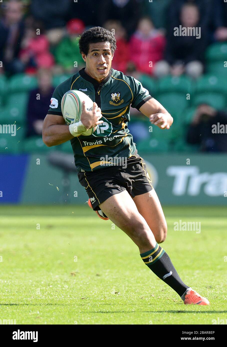 Pisi hi-res stock photography and images - Alamy