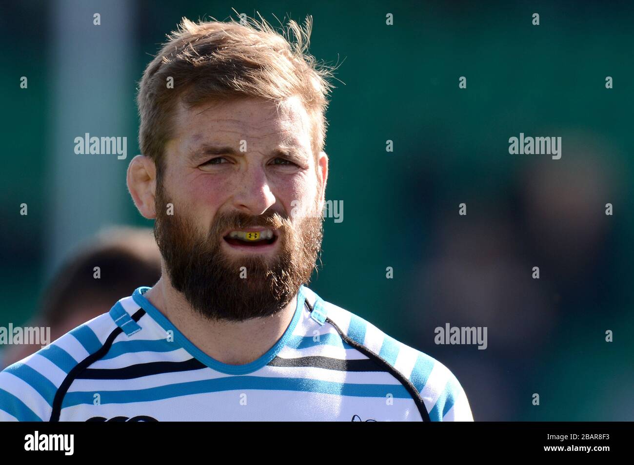 John barclay glasgow warriors hi-res stock photography and images - Alamy