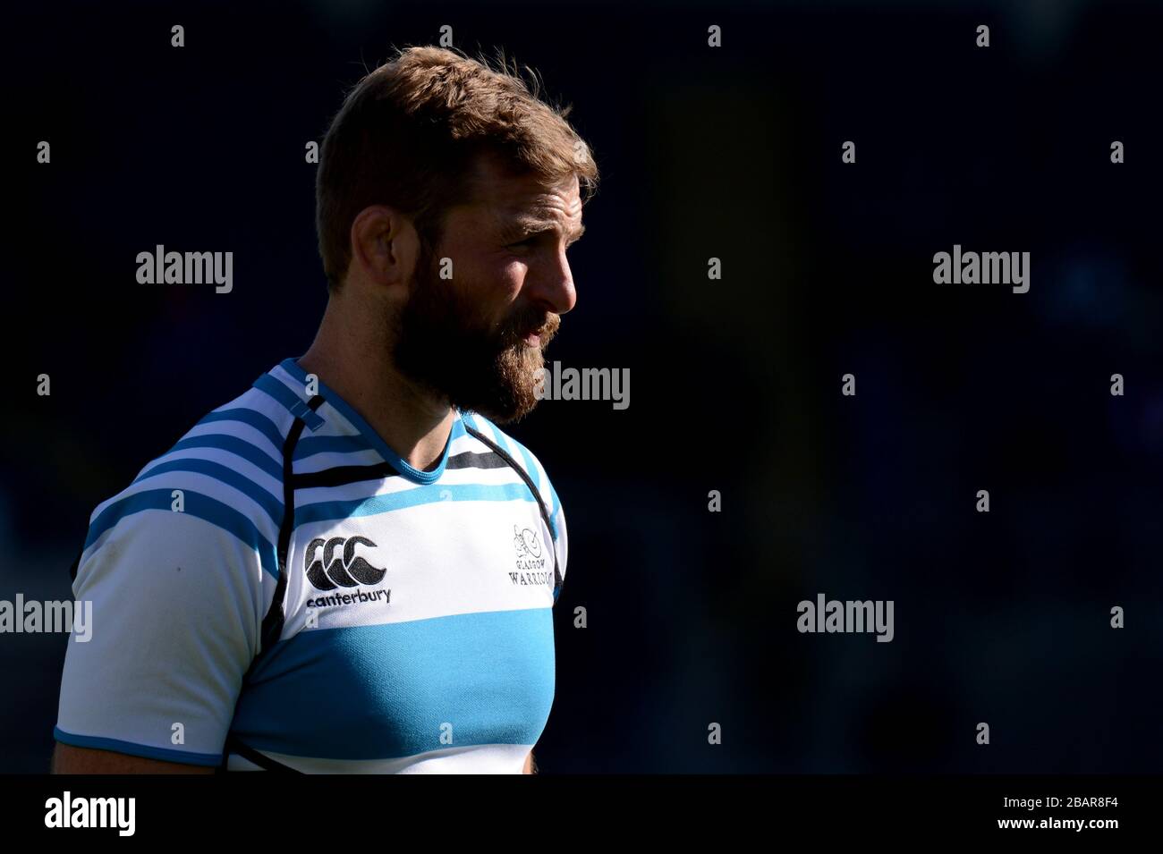 John Barclay, Glasgow Warriors Stock Photo - Alamy