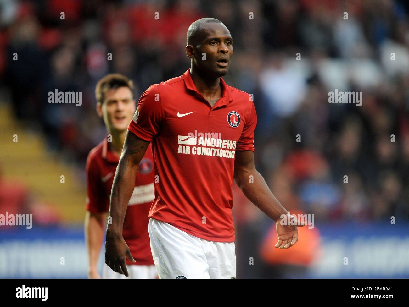 Leon cort hi-res stock photography and images - Alamy