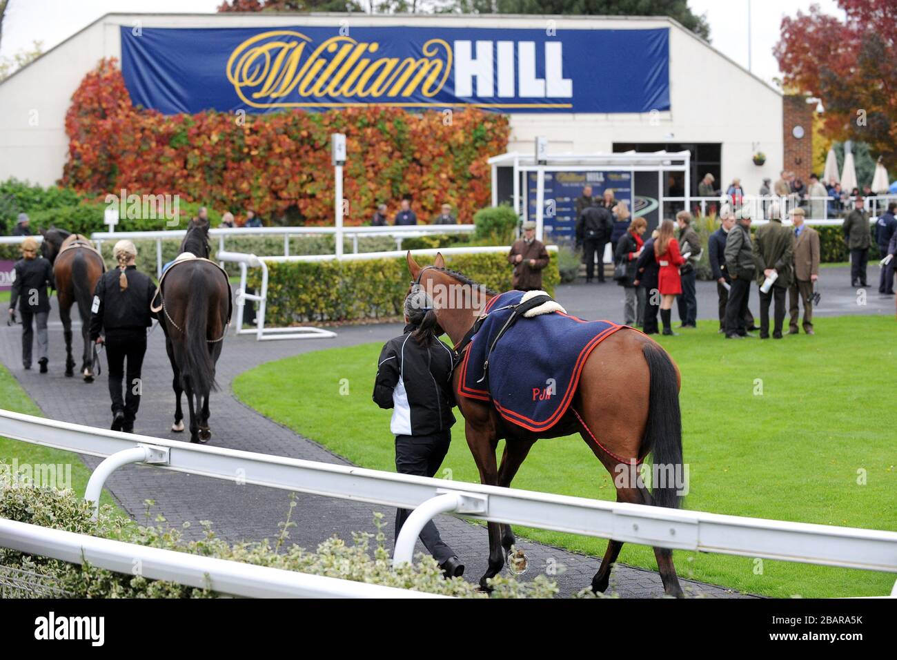 Racing horses parade ring hi-res stock photography and images - Alamy