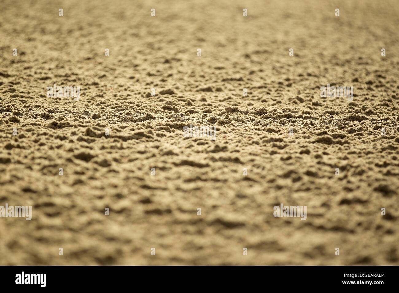 Detail photograph of the new all-weather track at Lingfield Racecourse ...