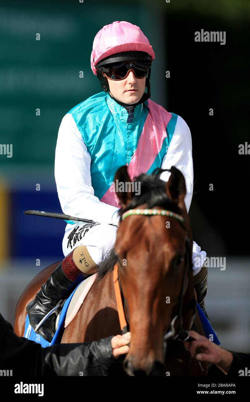 Jockey Tom Queally on board Morpheus prior to the British Stallion ...