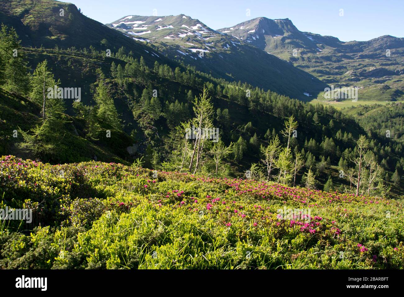 walking down from sirwoltesattel to simplon pass in switzerland Stock ...