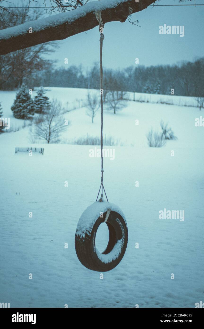 Vertical shot of a tire swing hanging on a tree covered with white snow ...