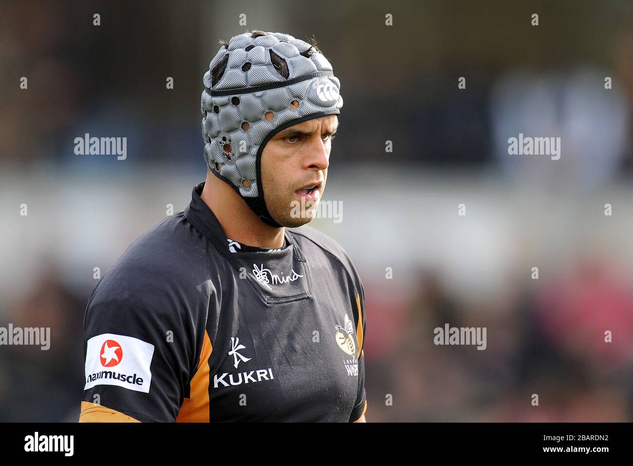 Marco Wentzel, London Wasps Stock Photo - Alamy