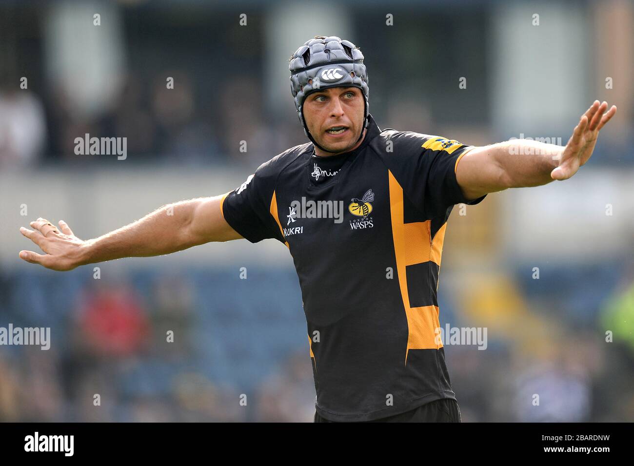 Marco Wentzel, London Wasps Stock Photo - Alamy